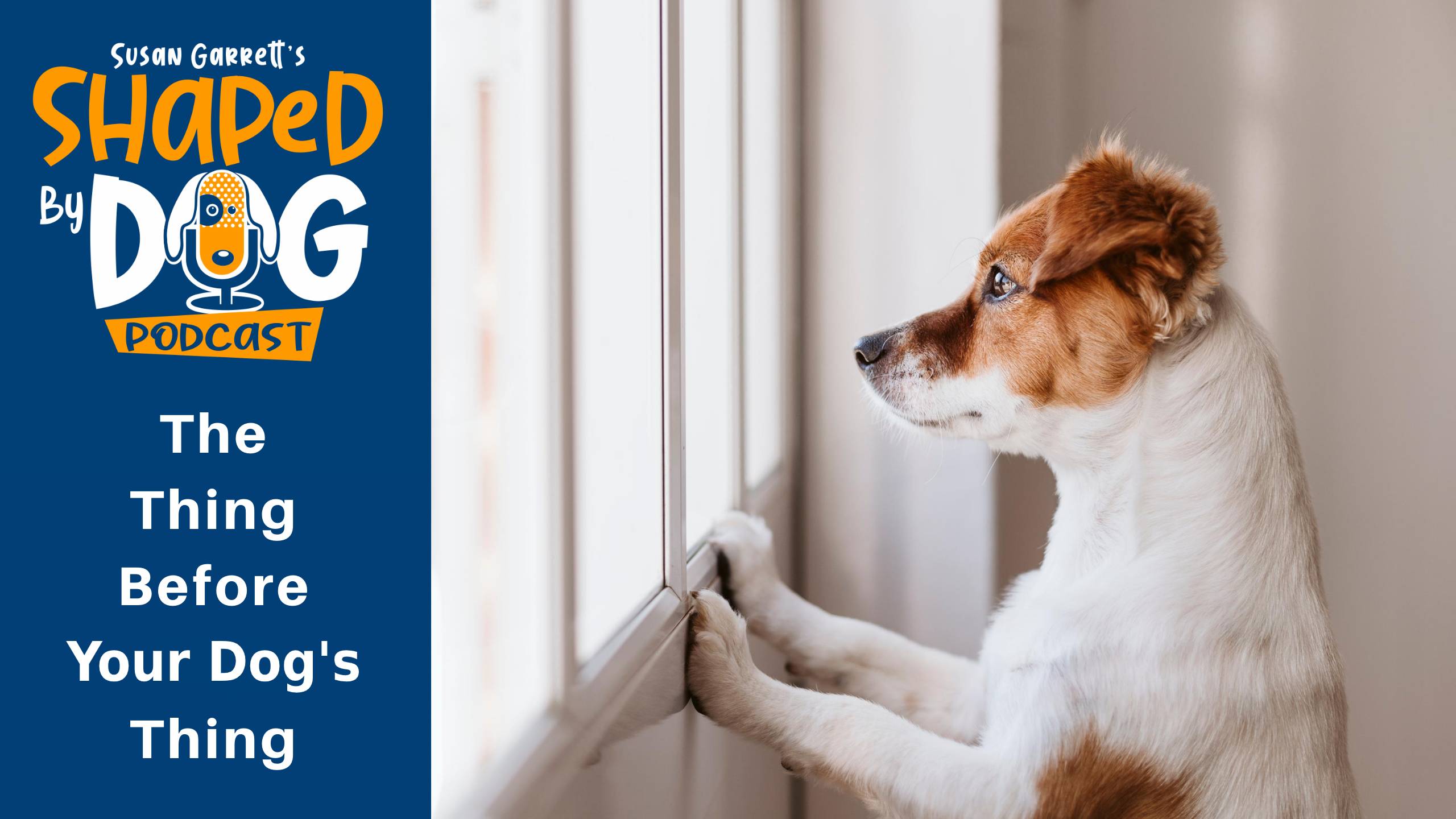 Episode 16: The Thing Before Your Dog’s Thing - DogsThat