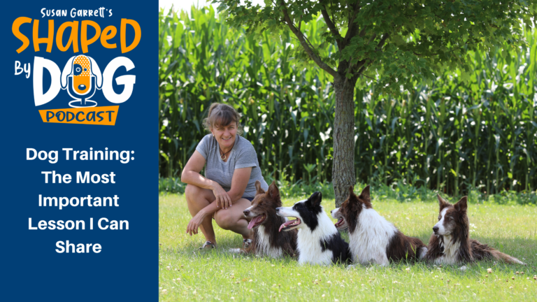 Episode 100: Dog Training: The Most Important Lesson I Can Share - DogsThat