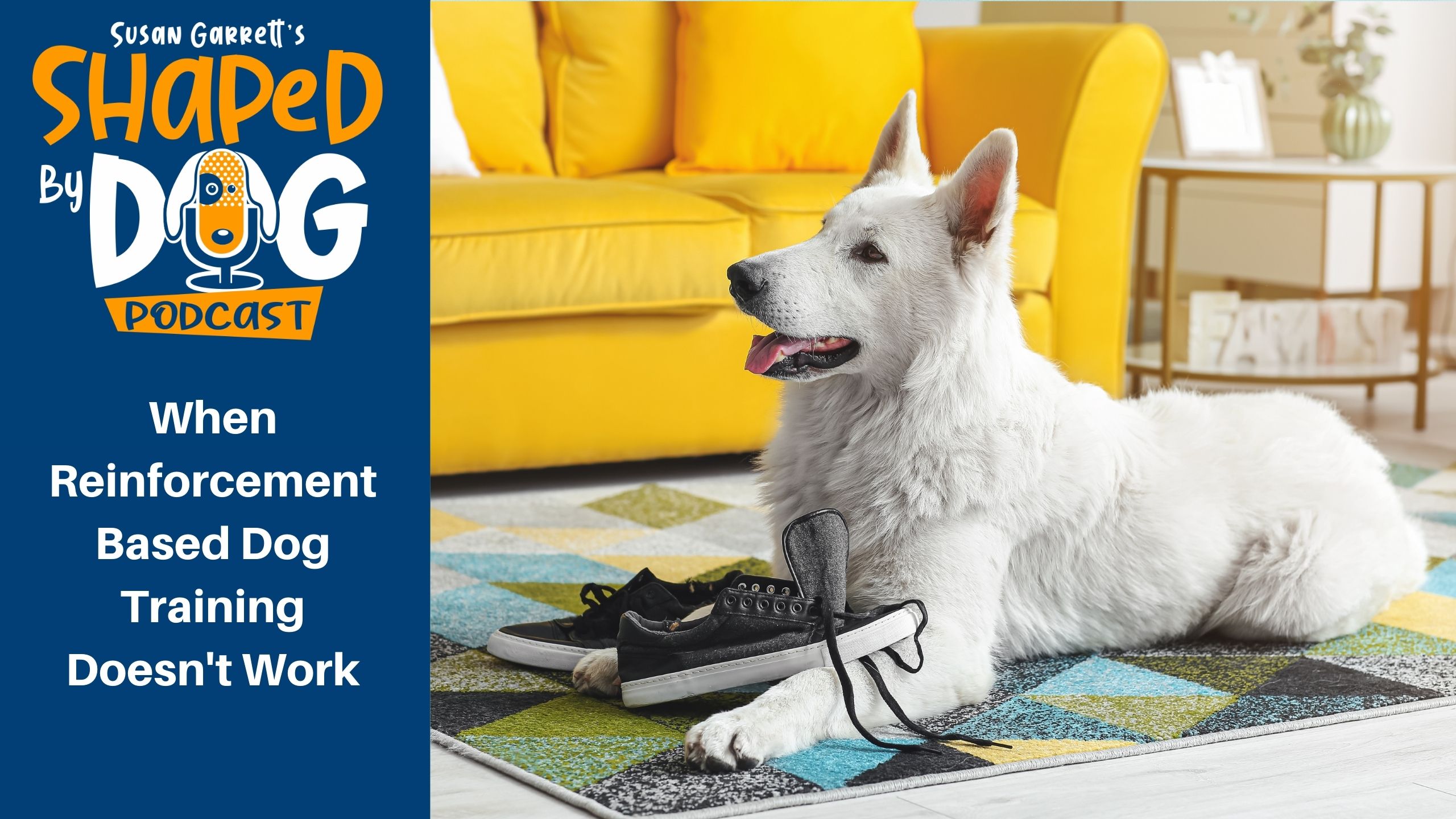 Episode 99: When Reinforcement Based Dog Training Doesn’t Work - DogsThat