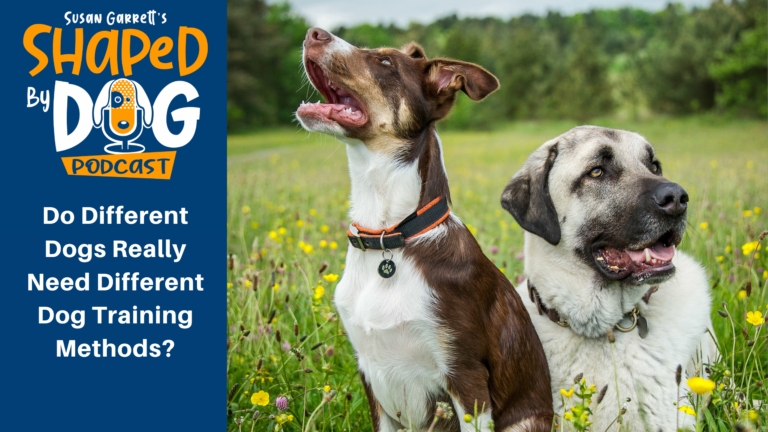 Episode 193: Do Different Dogs Really Need Different Dog Training ...