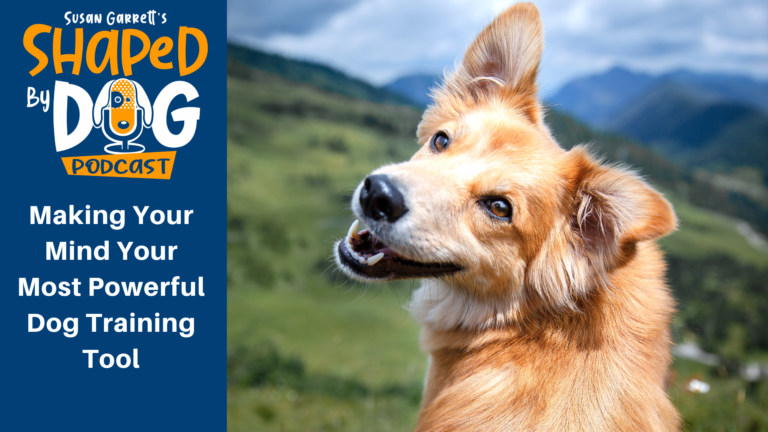 Episode 195: Making Your Mind Your Most Powerful Dog Training Tool ...
