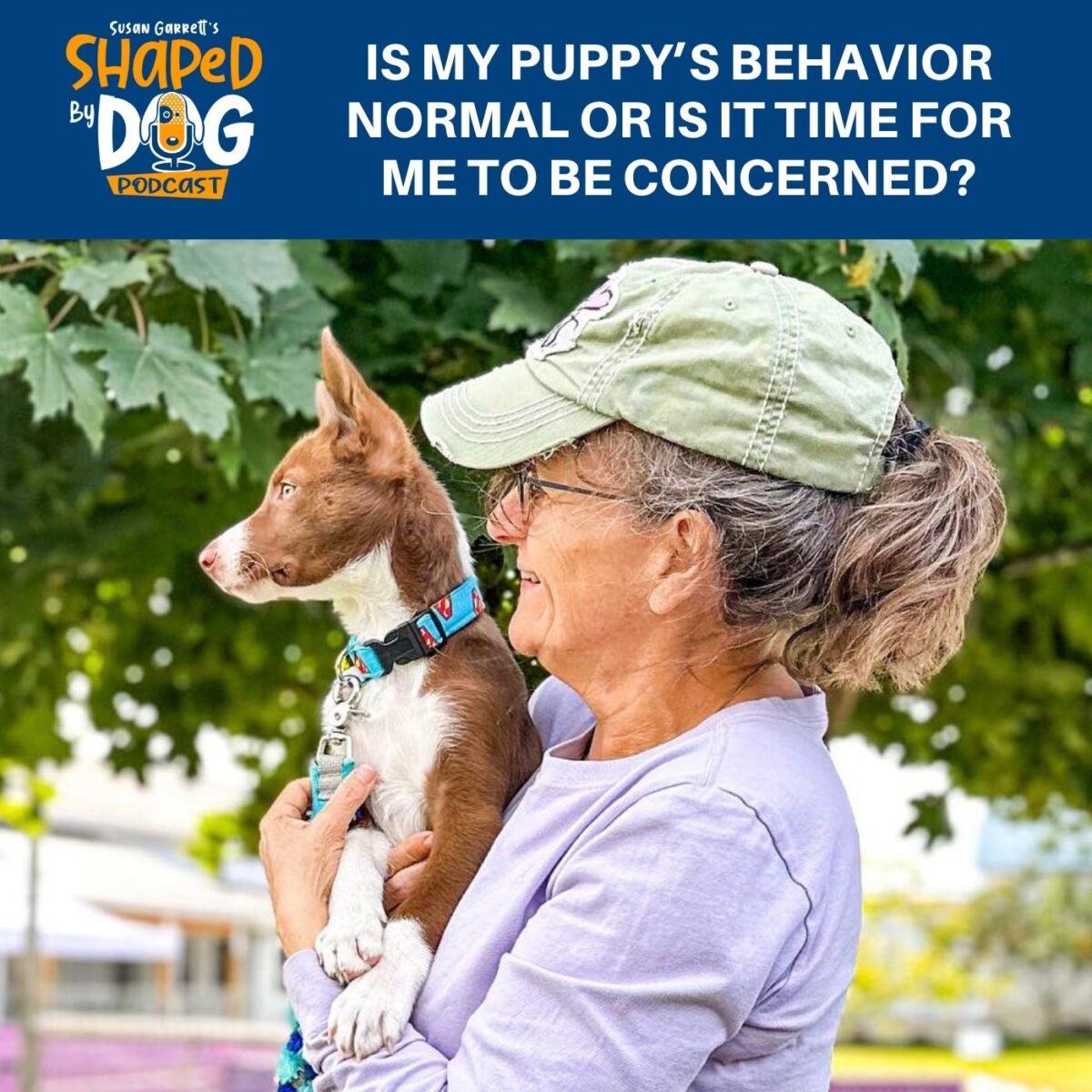 Susan Garrett’s Shaped by Dog Podcast