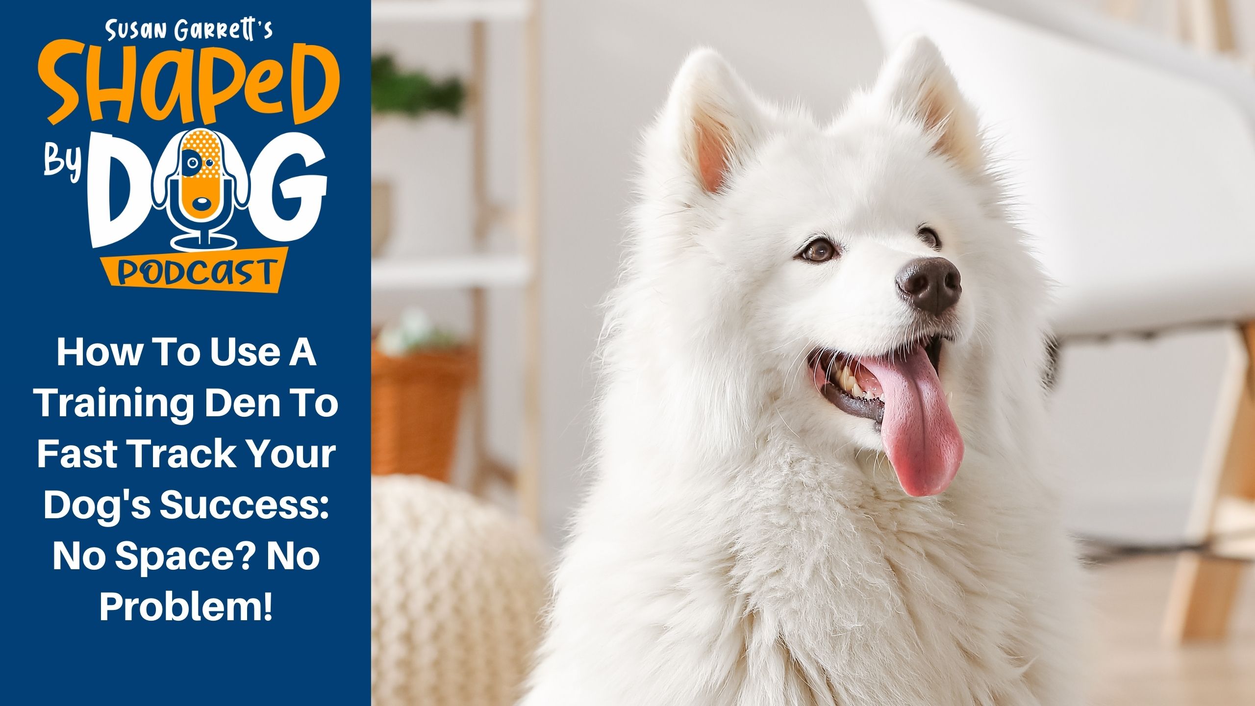 Episode 267: How To Use A Training Den To Fast Track Your Dog’s Success ...