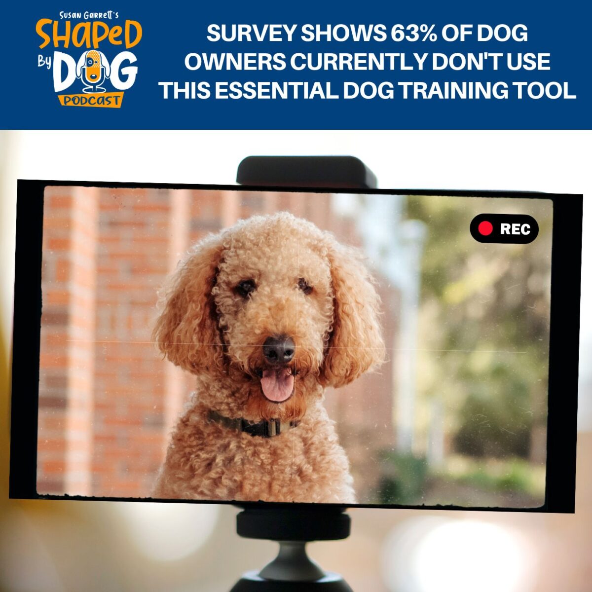 Susan Garrett’s Shaped by Dog Podcast