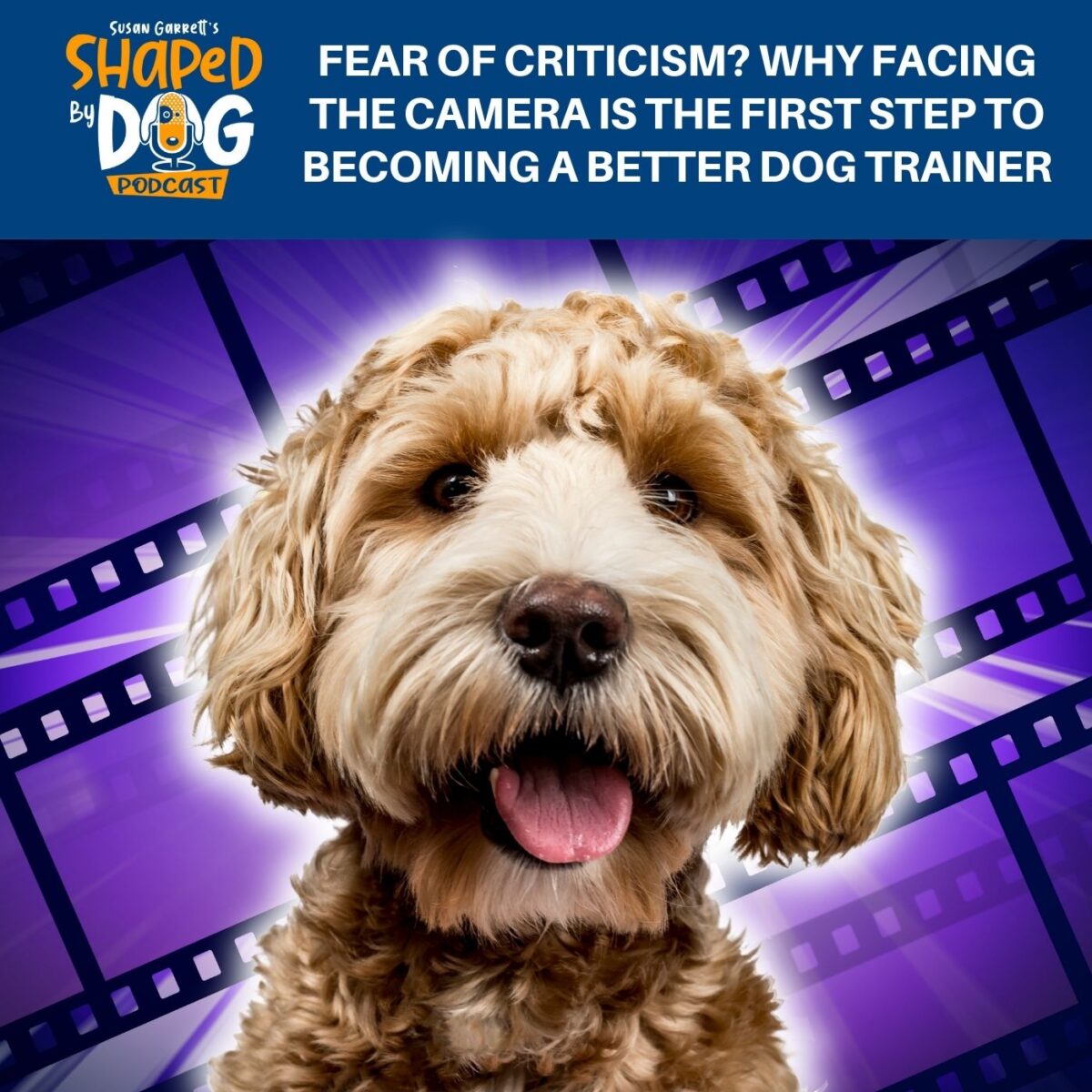 Susan Garrett’s Shaped by Dog Podcast