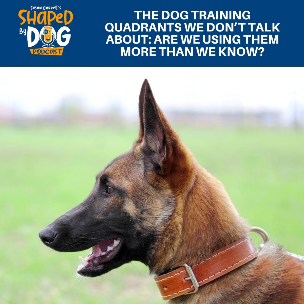 Susan Garrett’s Shaped by Dog Podcast