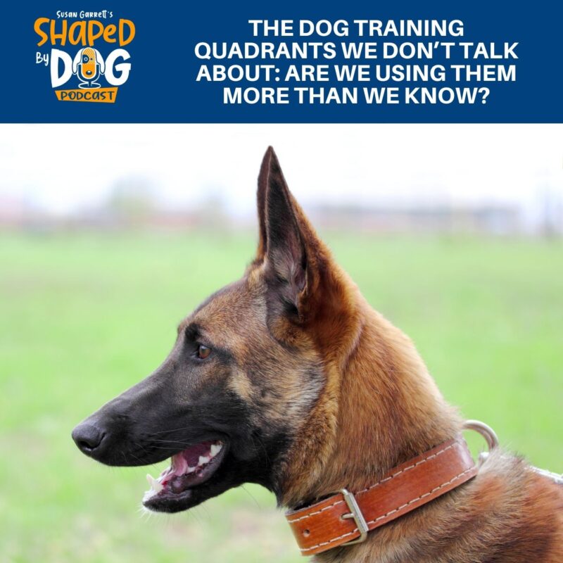 Susan Garrett’s Shaped by Dog Podcast