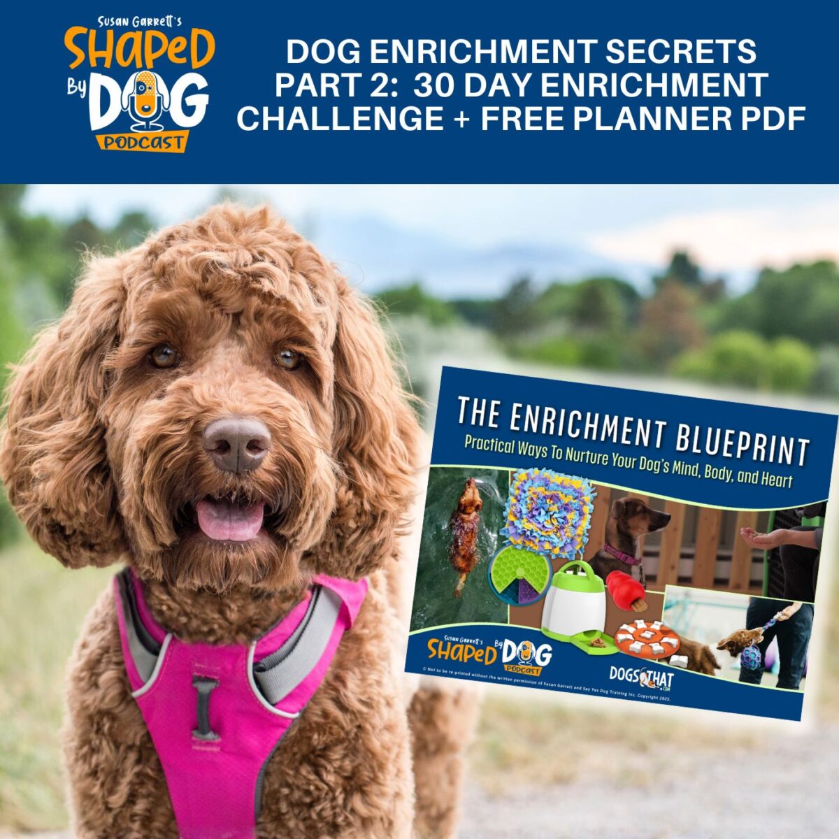 Susan Garrett’s Shaped by Dog Podcast - DogsThat