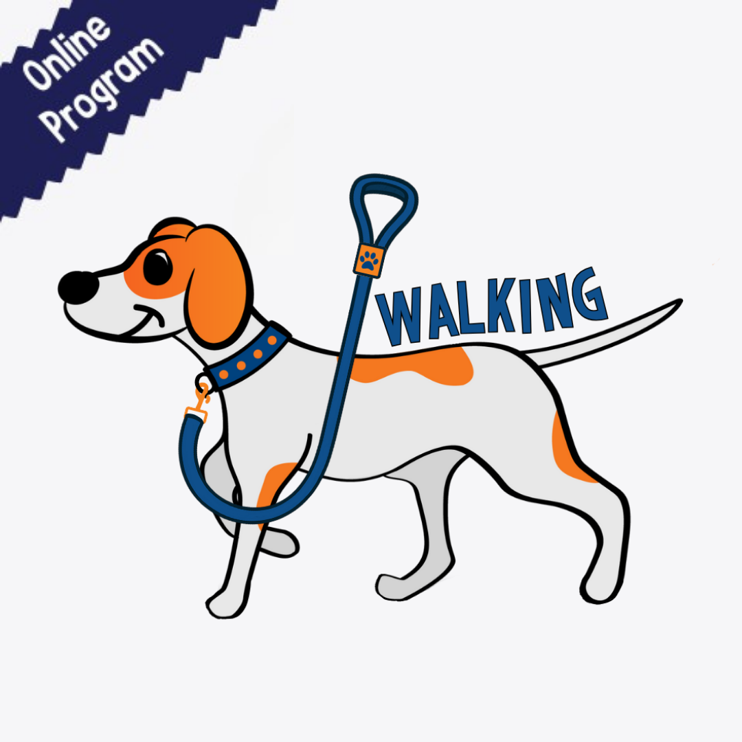 J-Walking Program - DogsThat