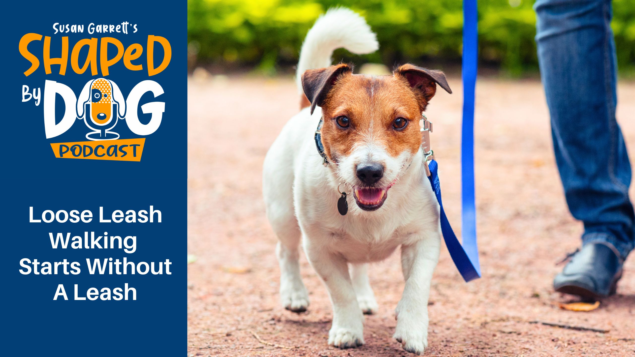 Episode 322: Loose Leash Walking Starts Without A Leash - DogsThat
